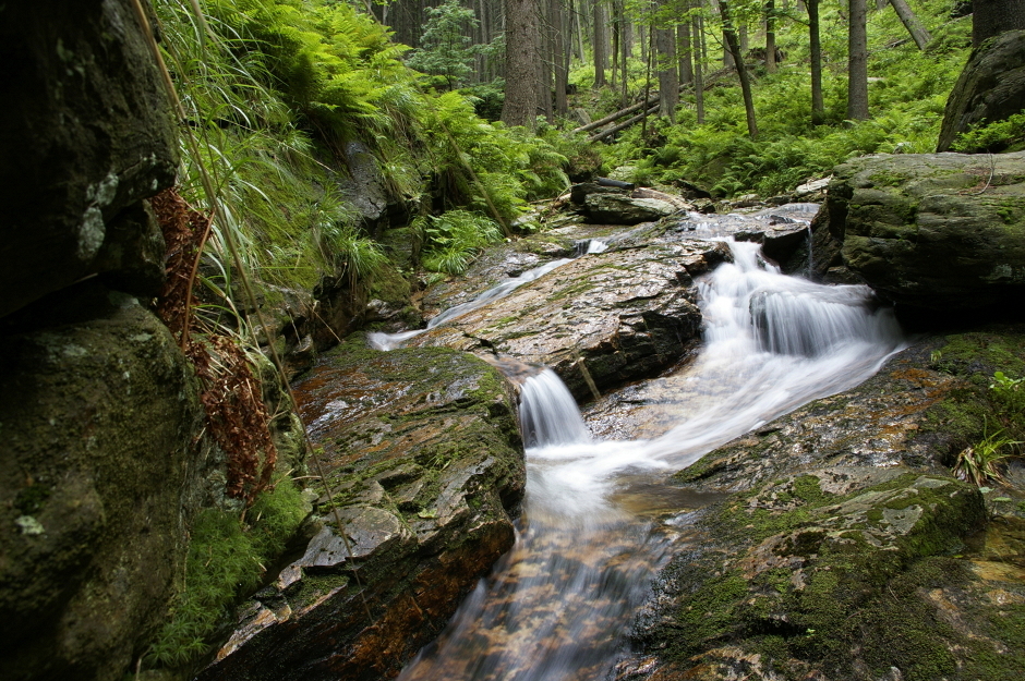 Jeseníky-vodopády Stříbrného potoka (Příroda)
